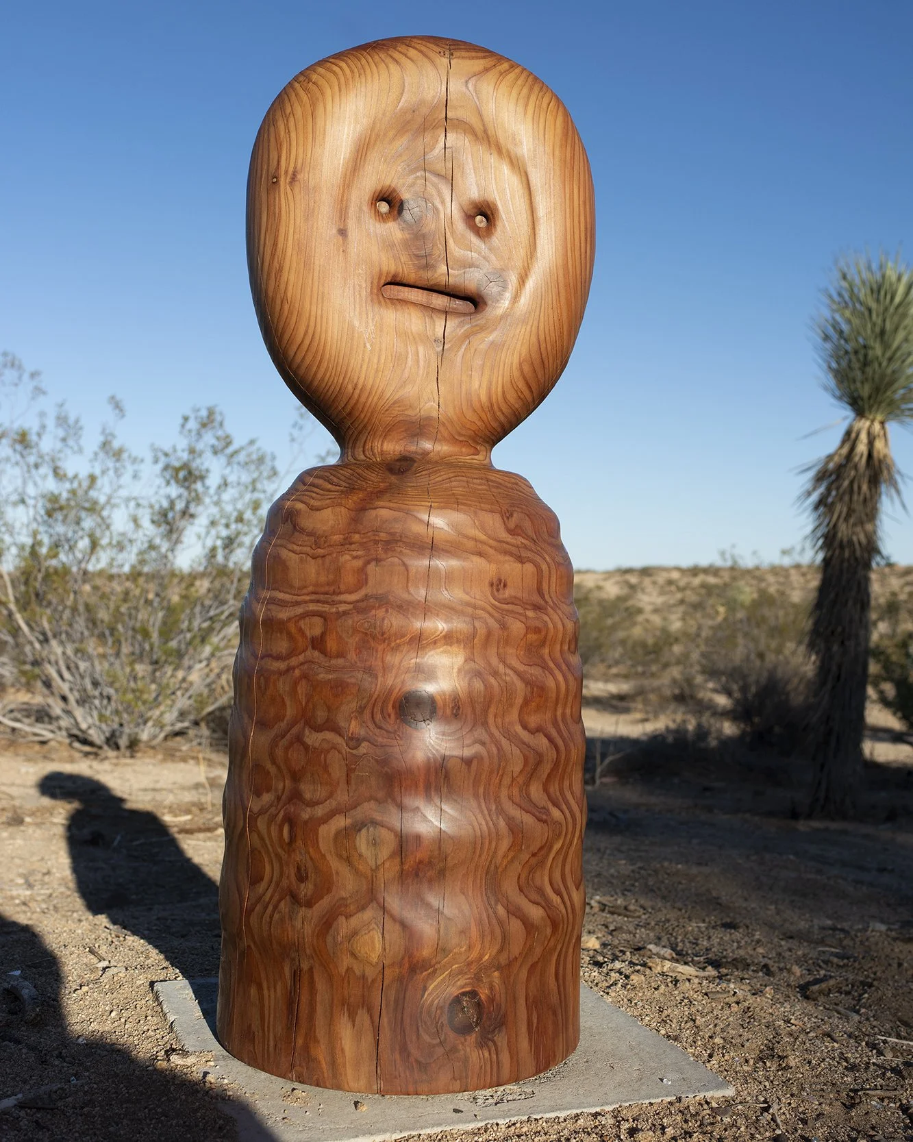 DAN JOHN ANDERSON: Where dreams are made with a chainsaw. — Upstate Diary