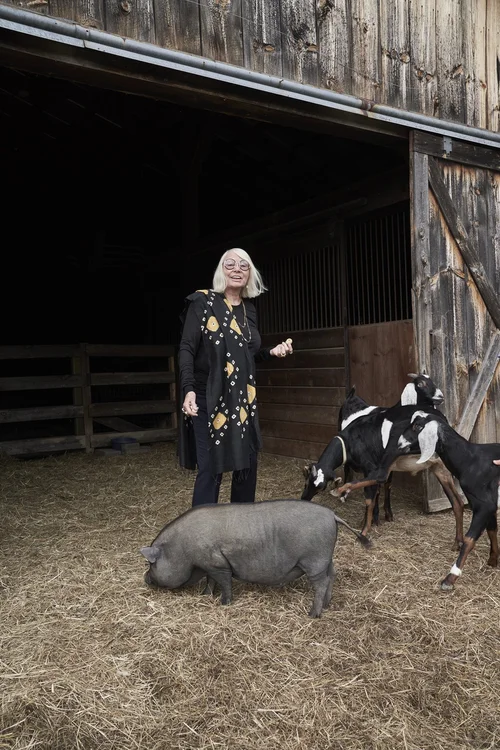 Helen Marden: A Journey Through Art, Life, and Inspiration | Upstate ...