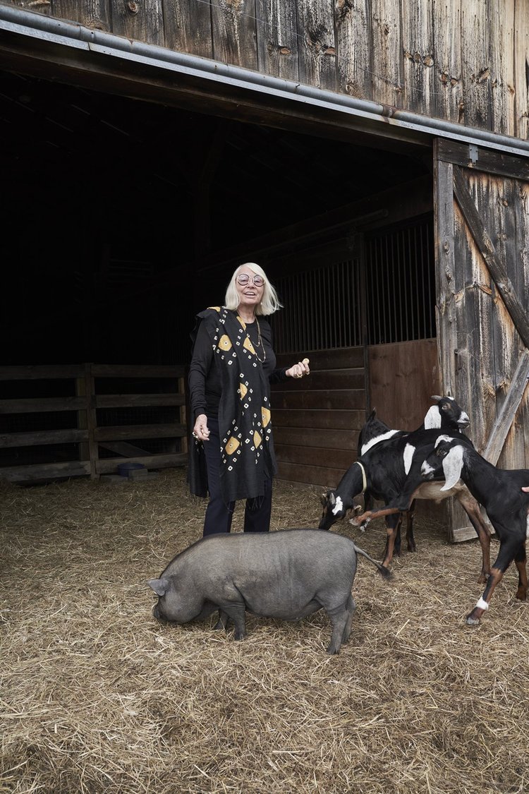 Helen Marden: A Journey Through Art, Life, and Inspiration | Upstate ...