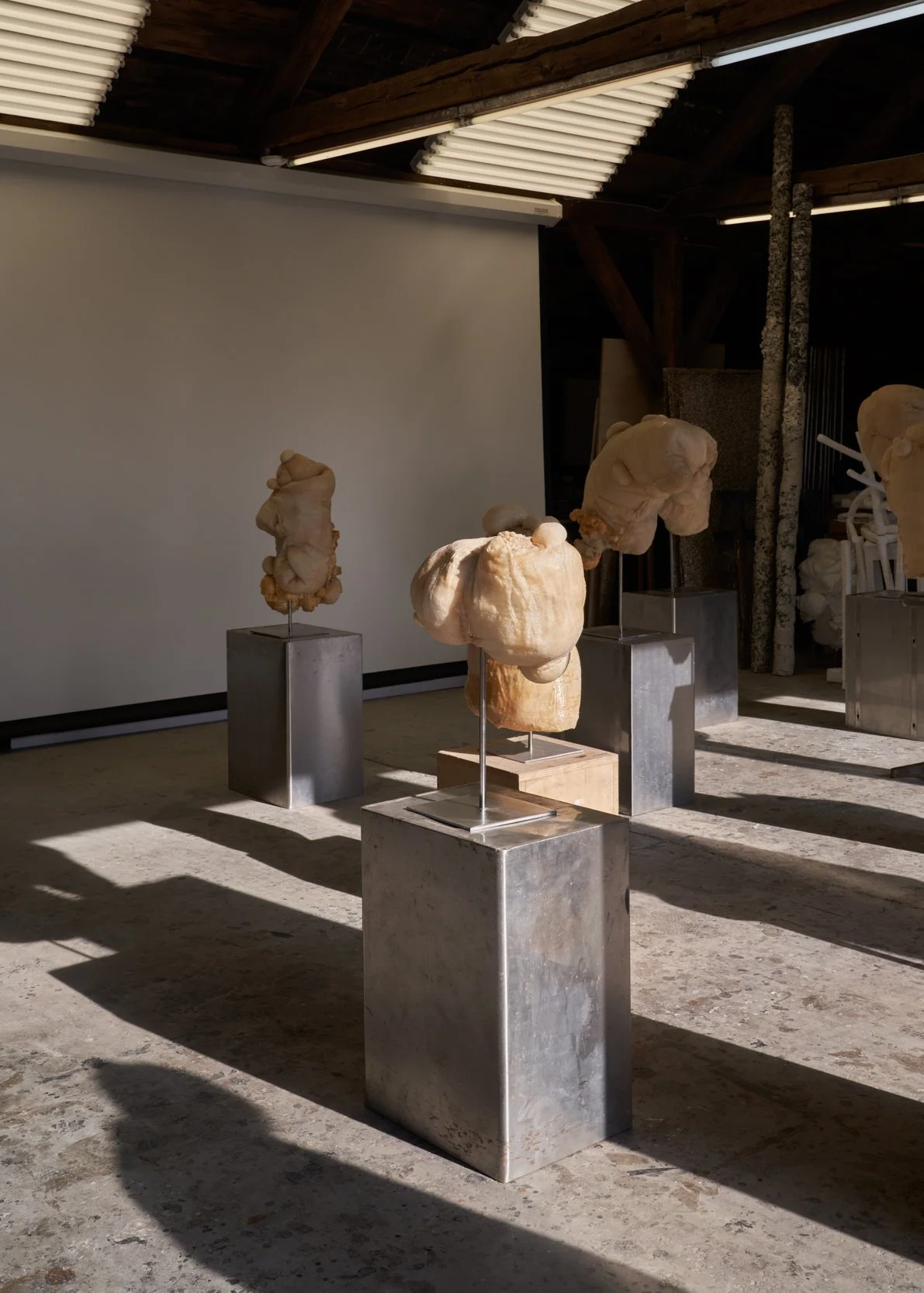 An interview with the artist Helmut Lang | Upstate Diary — Upstate Diary