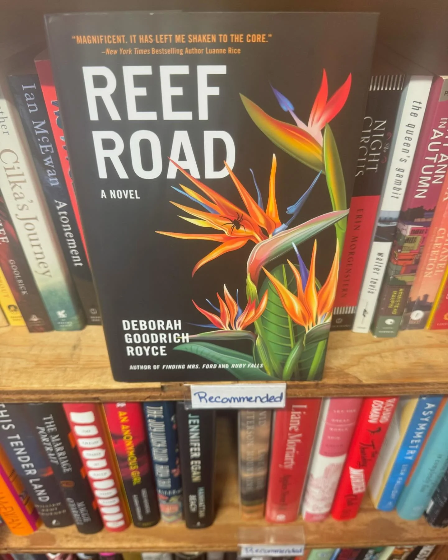 Greenwich Book Swap — BOOKS 4 EVERYONE