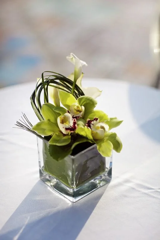 T Cocktail Table Centerpiece — Orchids By Lupe