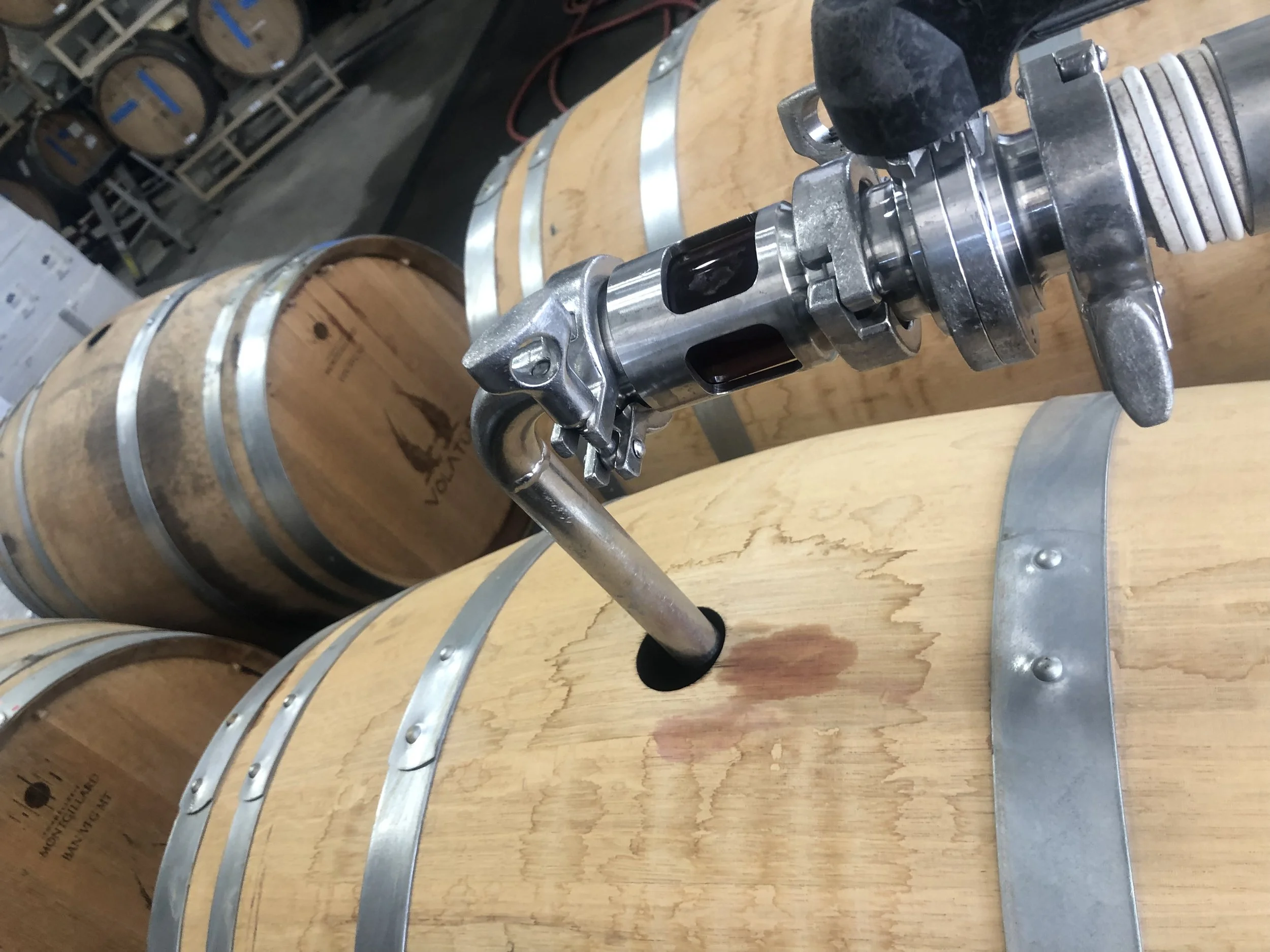 Blog — Volatus Wine