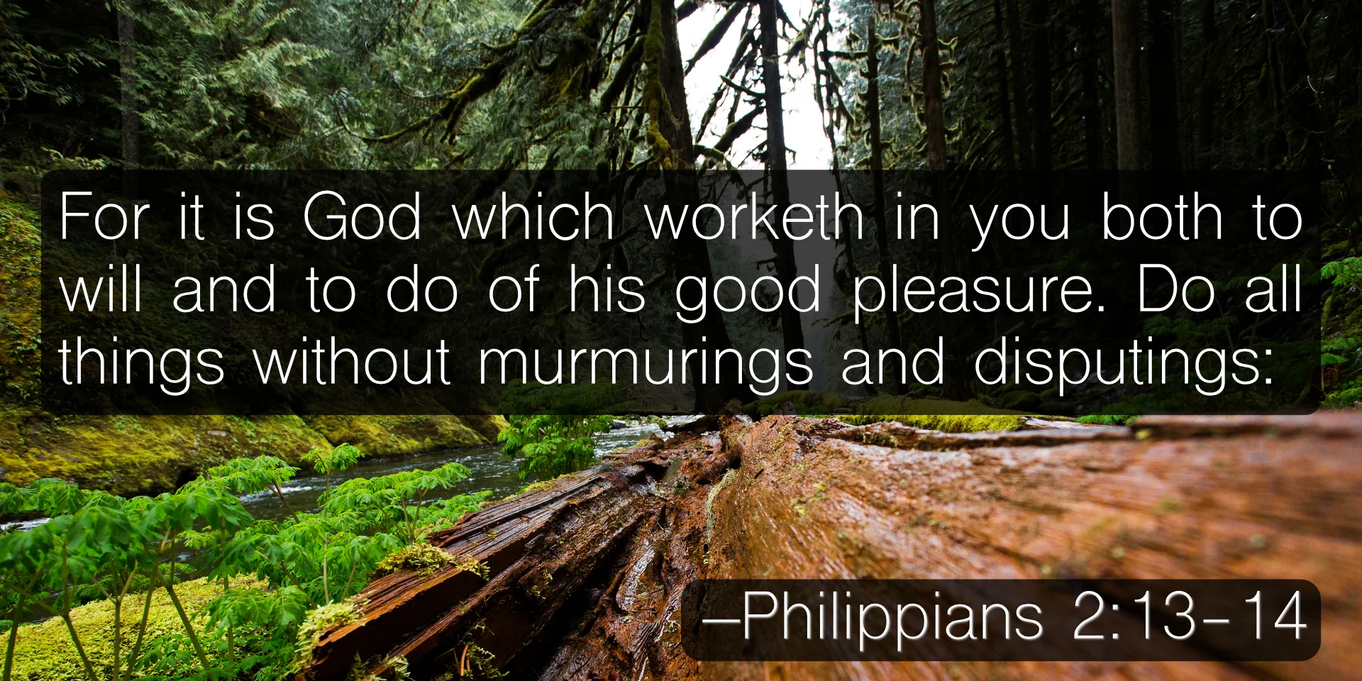 Philippians 2:13-14 — Berea Project