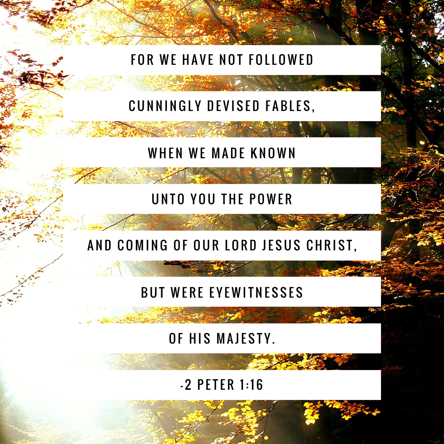 2 Peter 1:16 — Berea Project