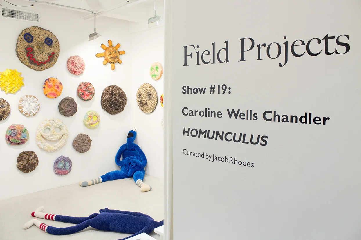 Show #19 — Field Projects