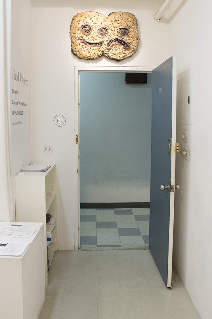 Show #19 — Field Projects