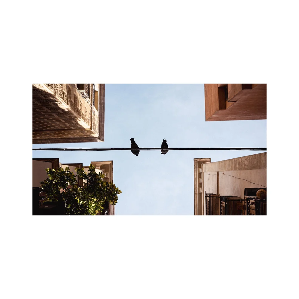 Paul Gareth Sands - Photographer 📸