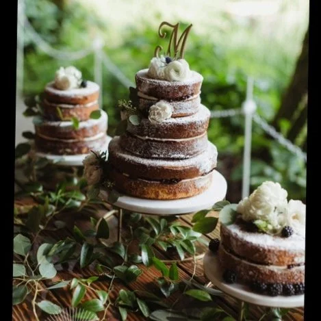 Gallery — Windflower Cakes