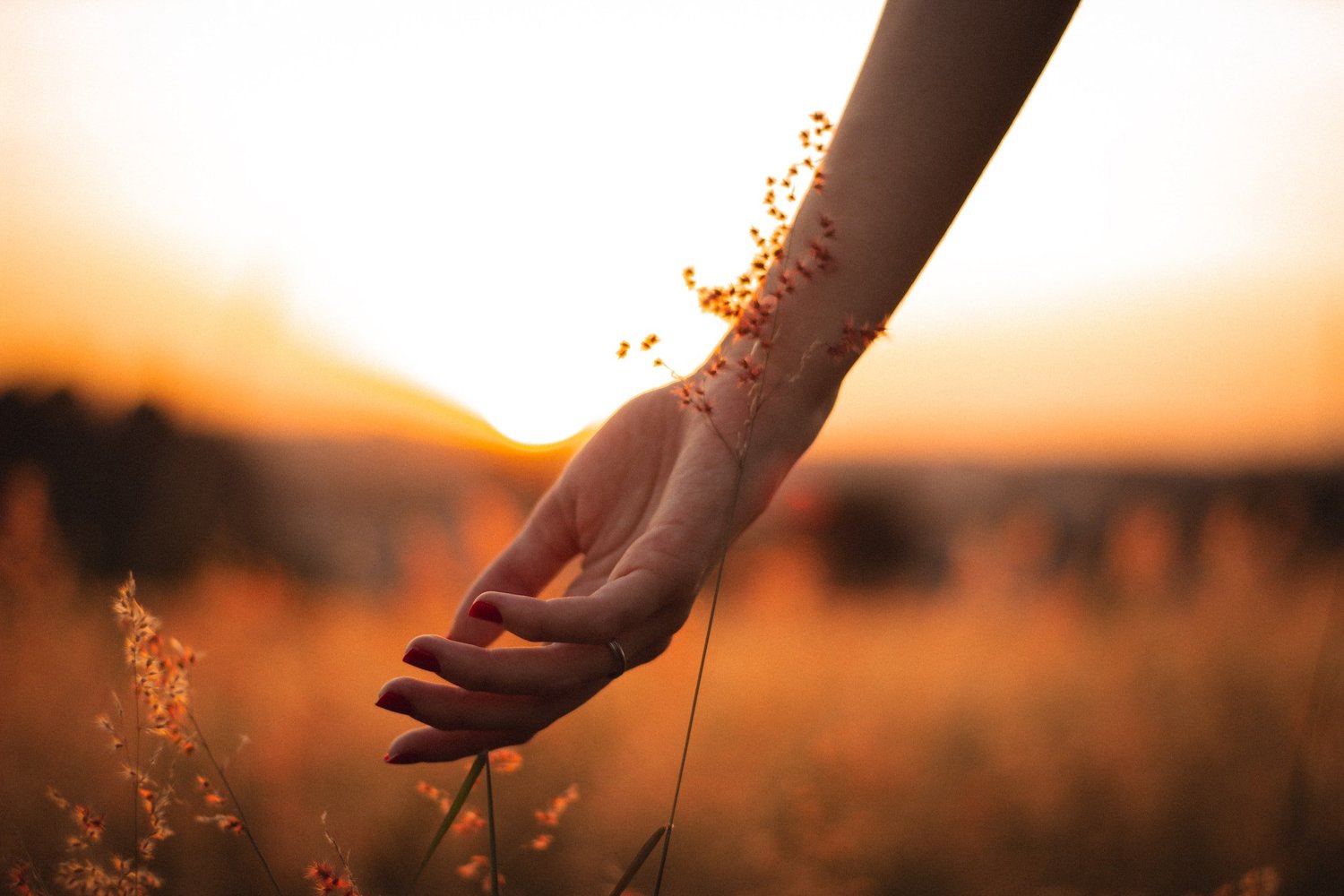 Rachelle Lamb, Nonviolent Communication, Relationship Advice, Conflict ...