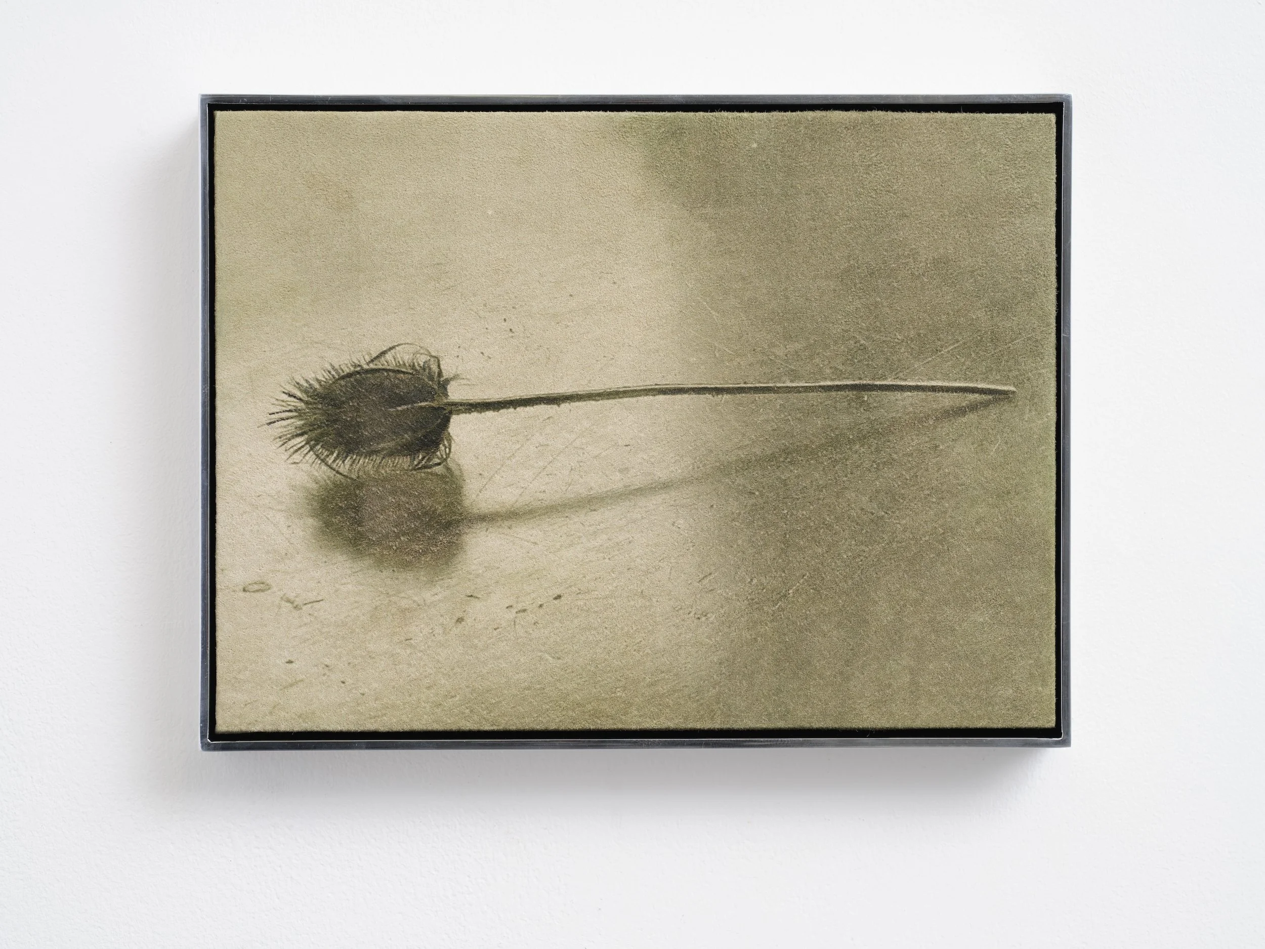 Poppy Jones 2024 — Herald St