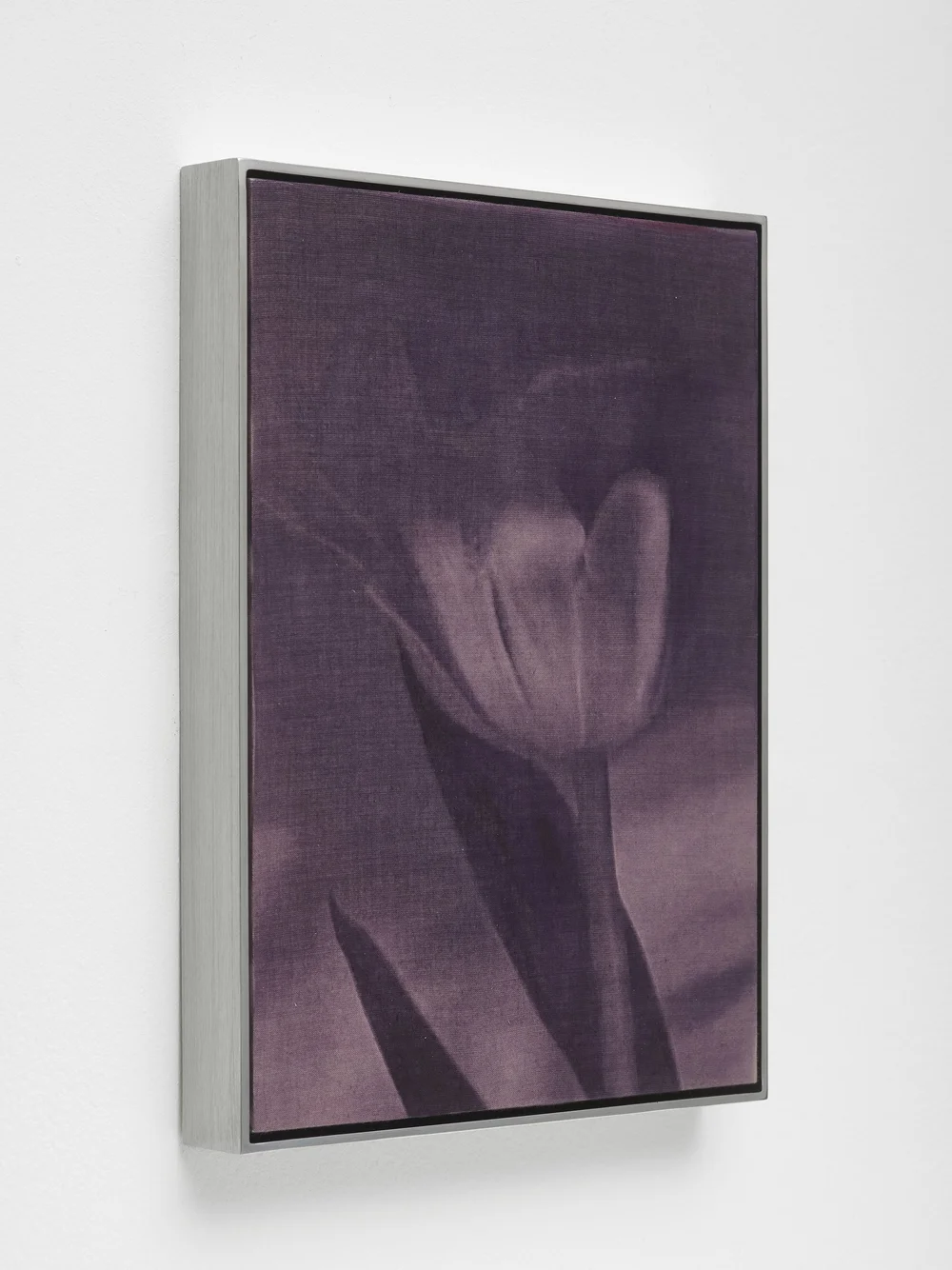 Poppy Jones — Herald St