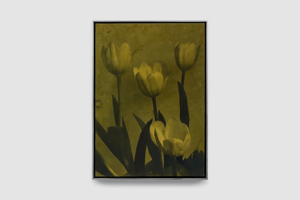 Poppy Jones — Herald St