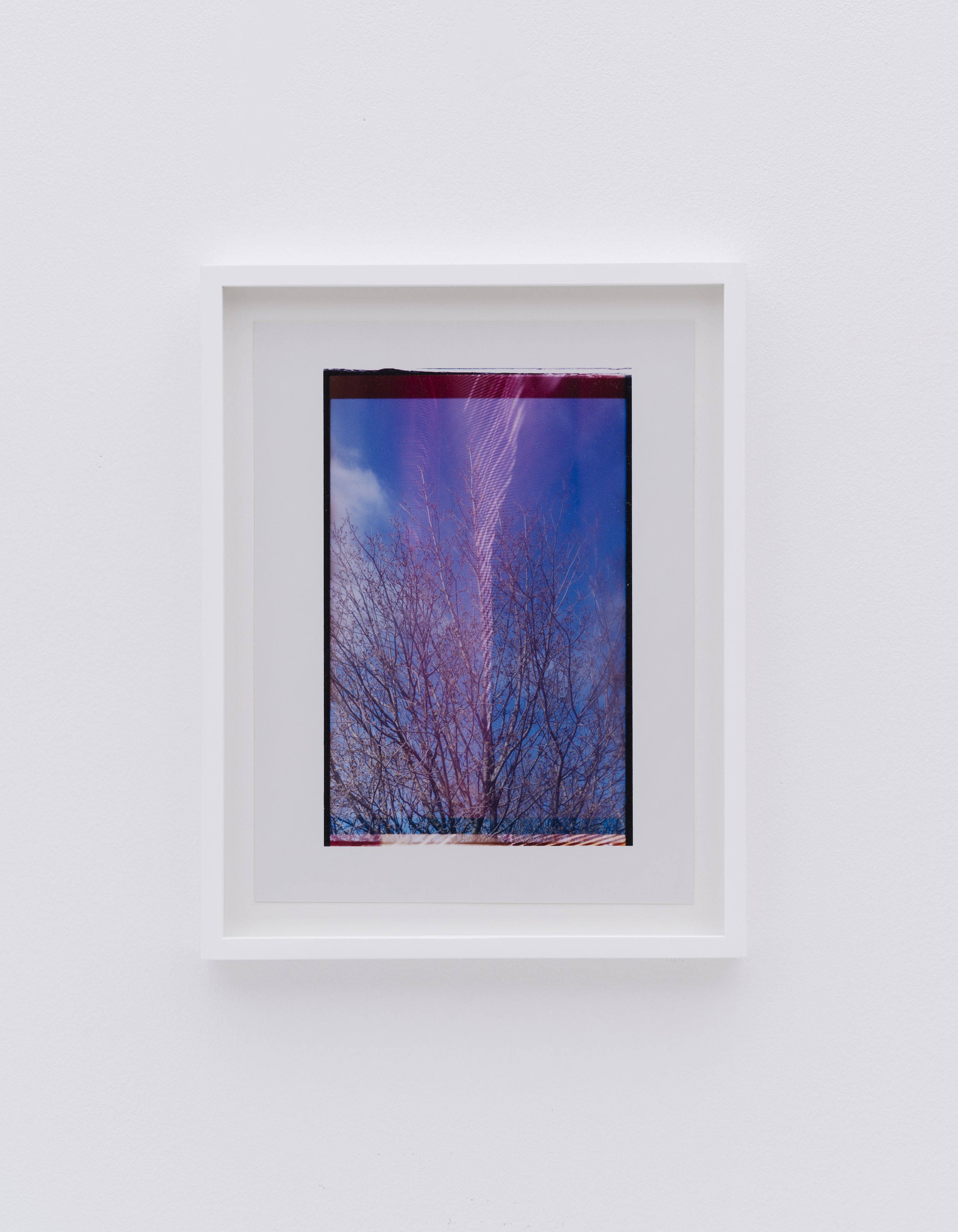 Josh Brand — Herald St