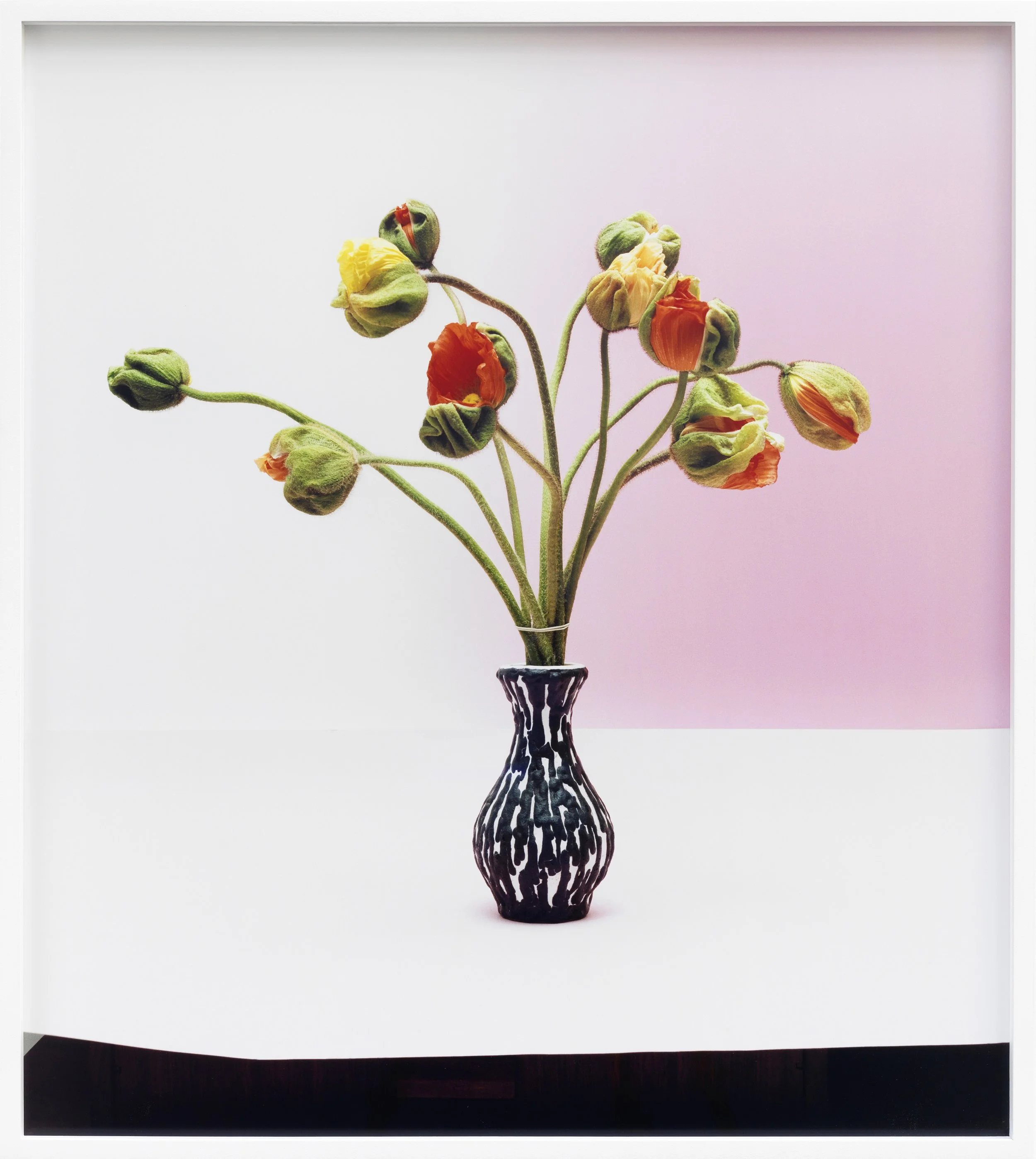 Annette Kelm — Herald St