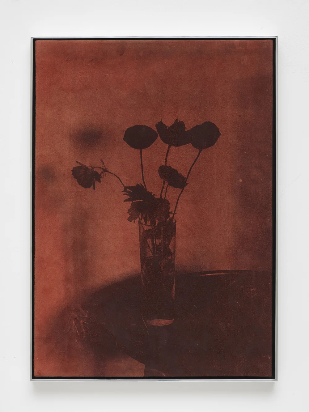 Poppy Jones — Herald St