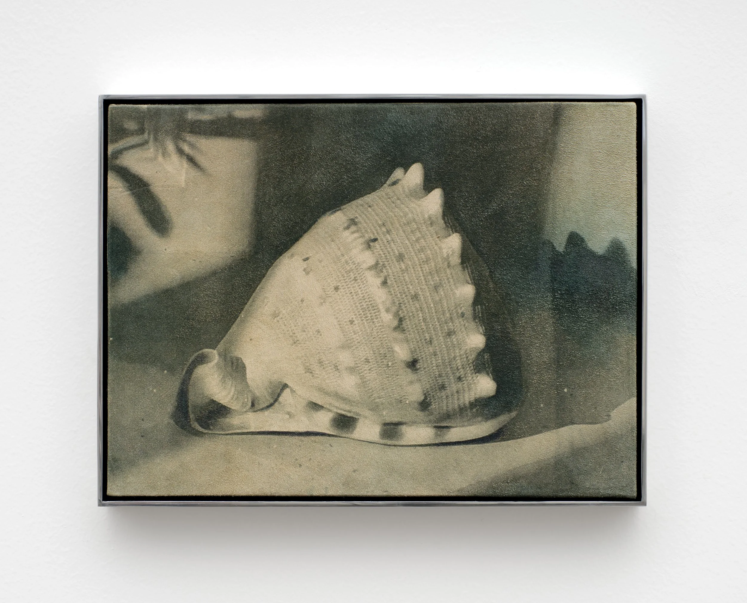 Poppy Jones — Herald St