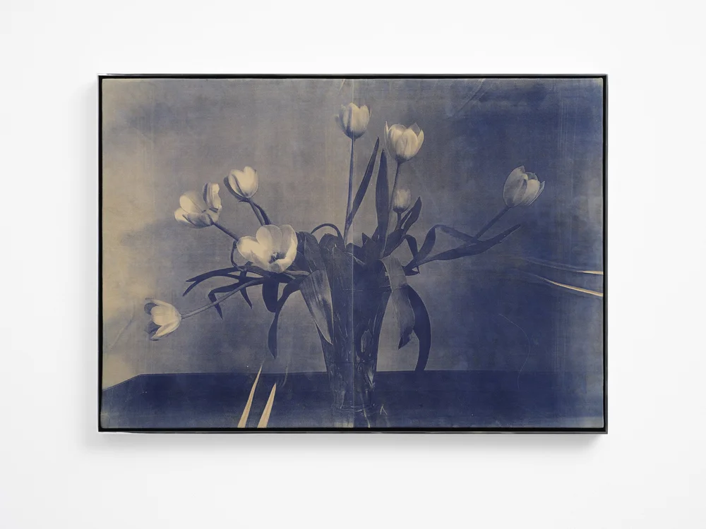 Poppy Jones 2024 — Herald St