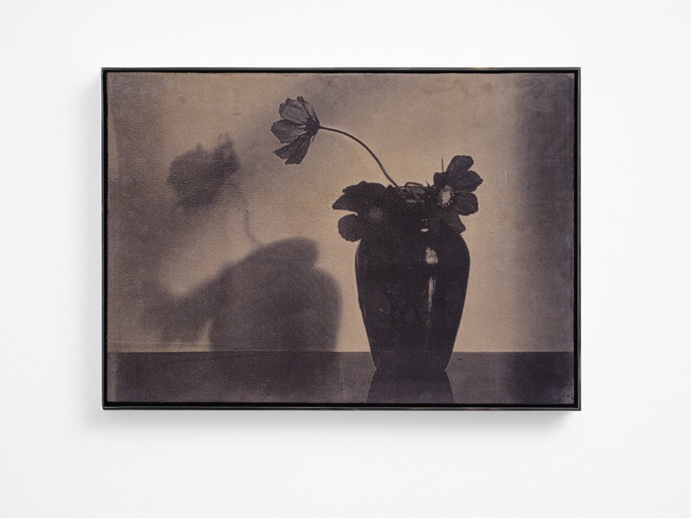 Poppy Jones 2024 — Herald St