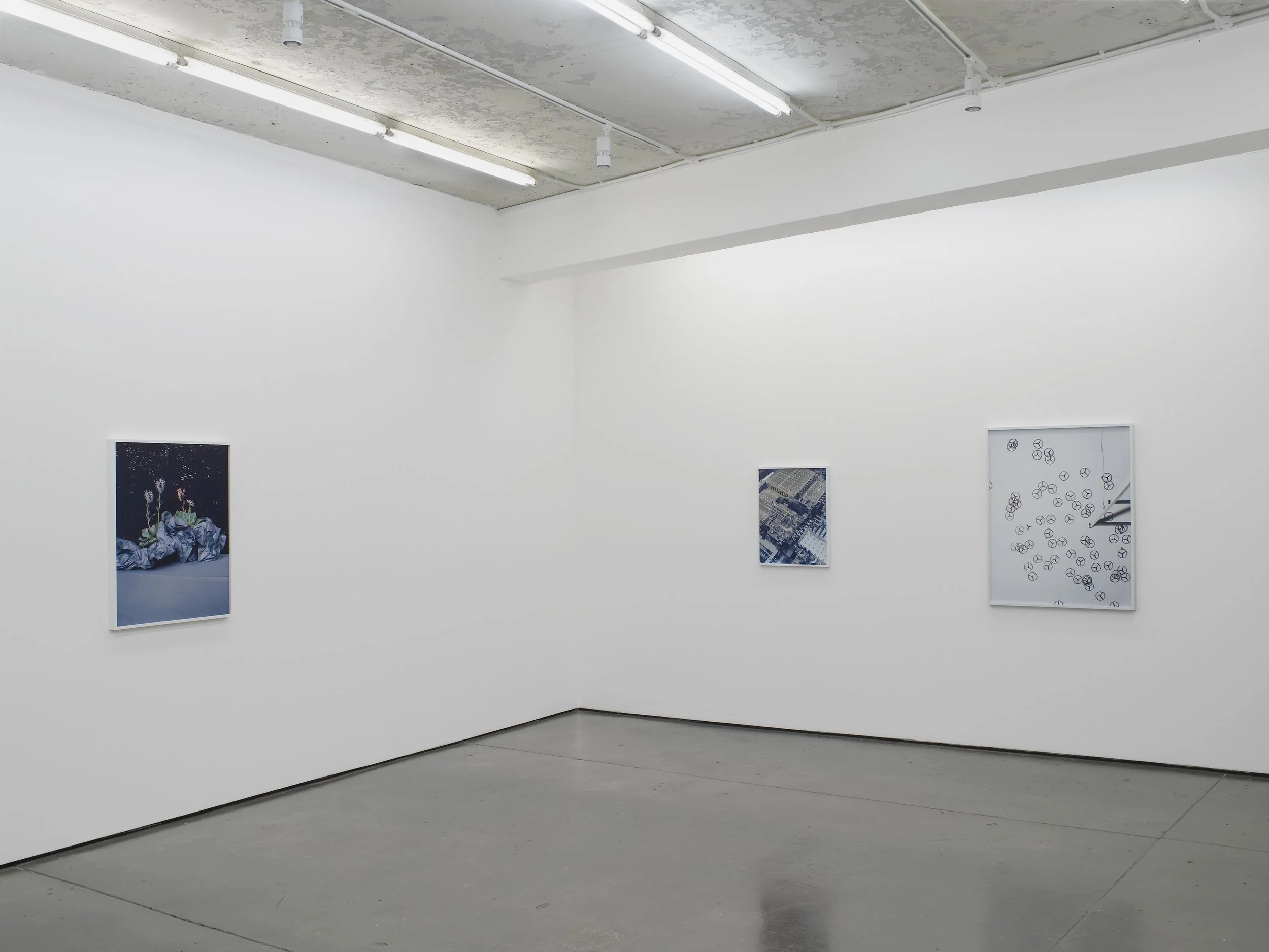 Annette Kelm — Herald St