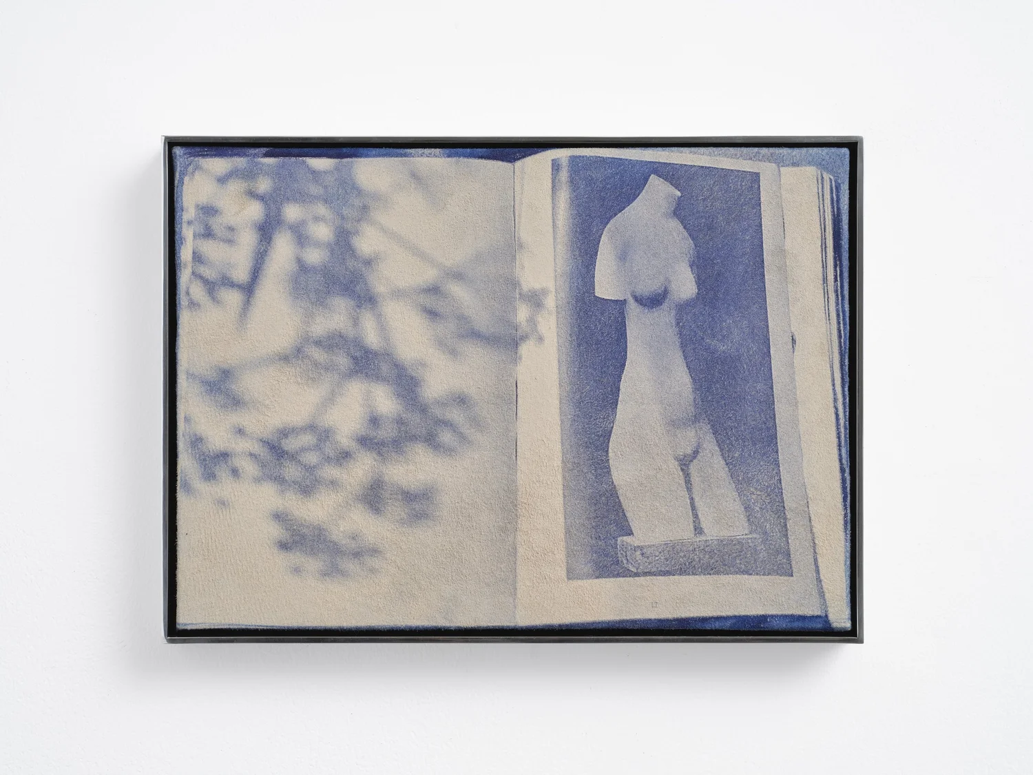 Poppy Jones — Herald St