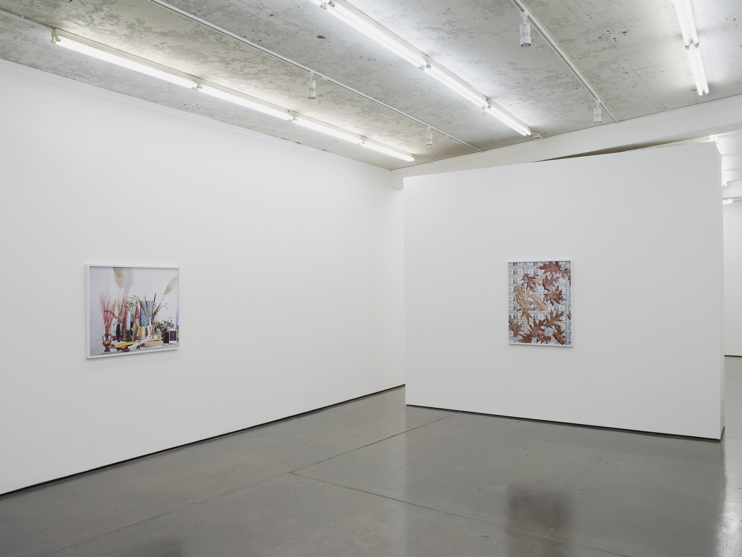 Annette Kelm — Herald St