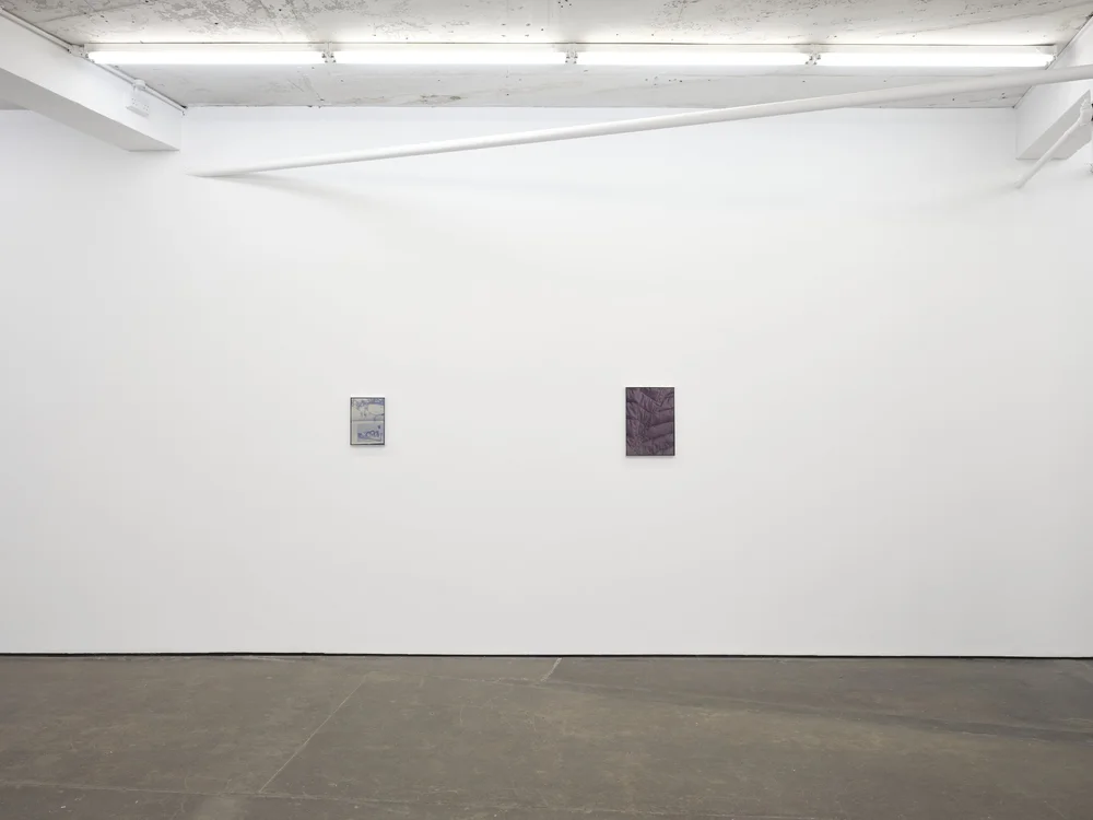 Poppy Jones 2024 — Herald St