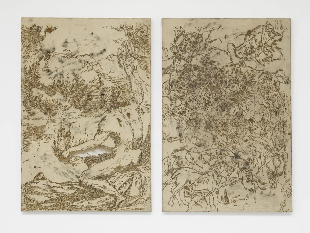 Cole Lu — Herald St