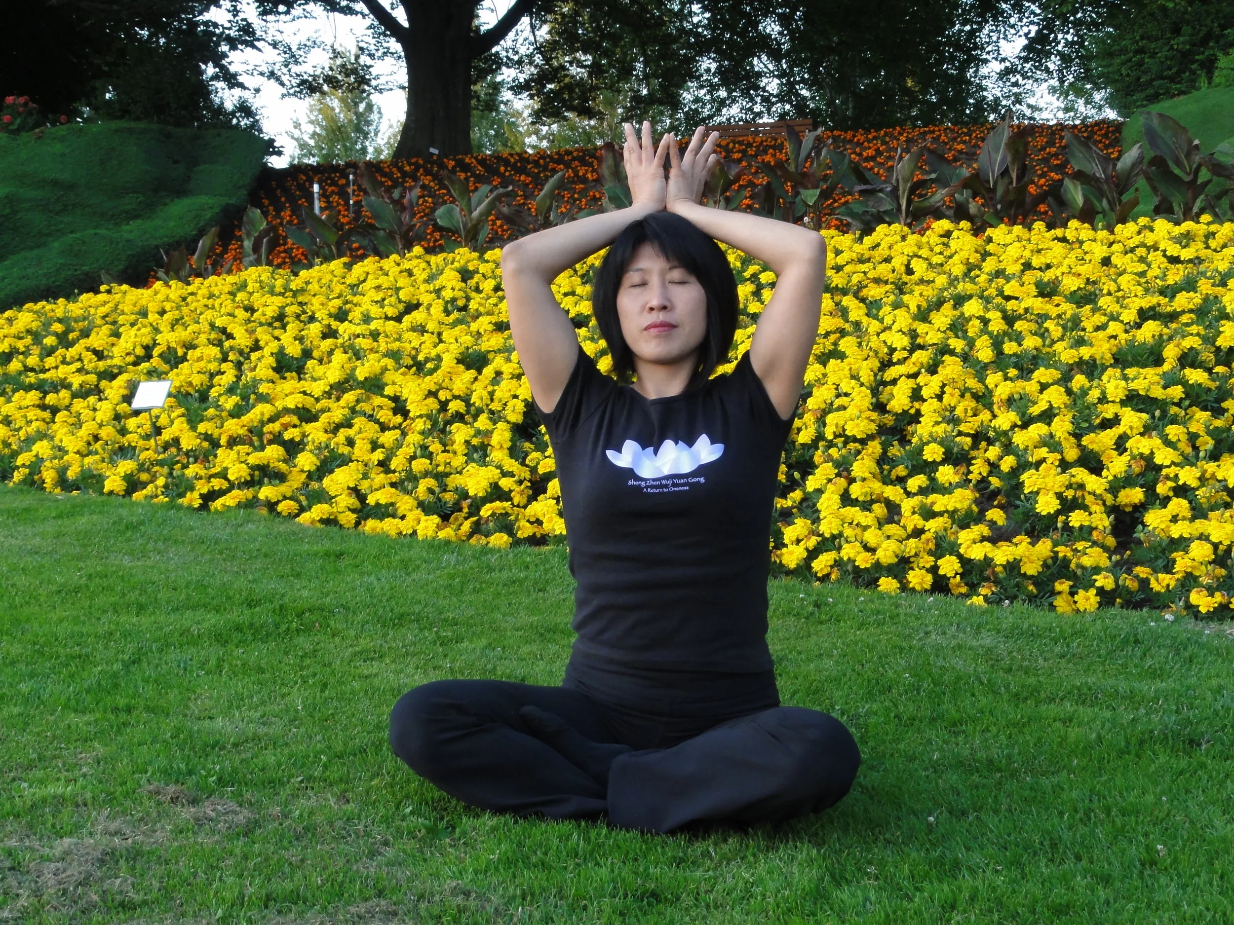 Events — Sheng Zhen Meditation