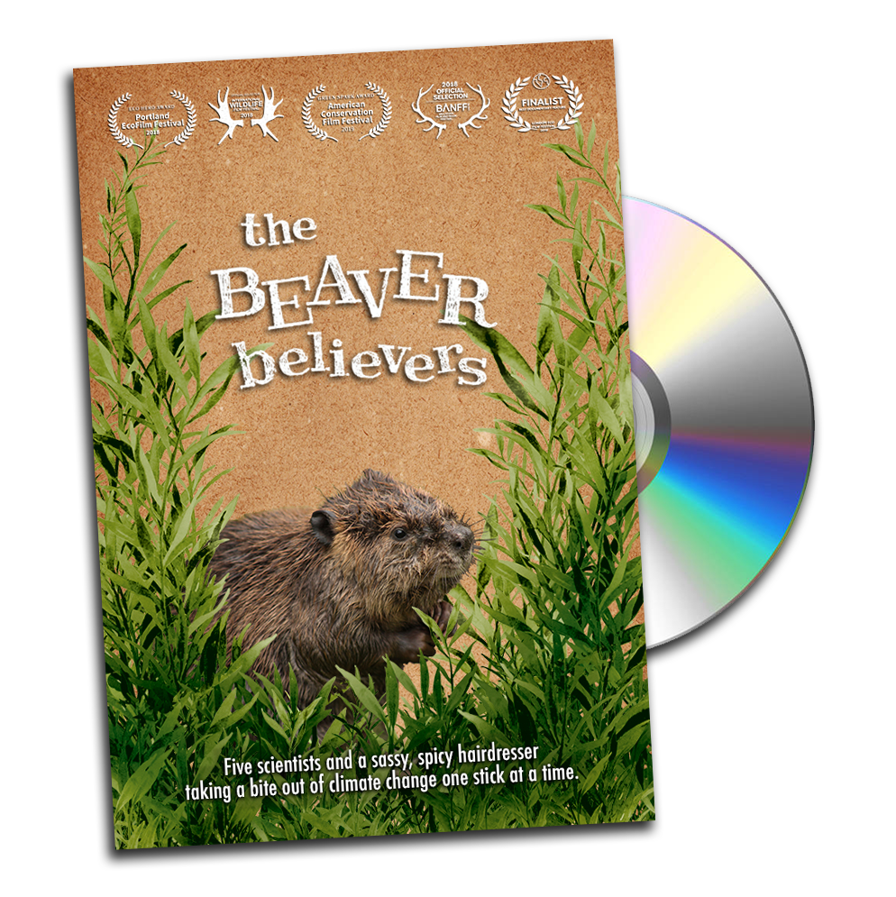 Store — The Beaver Believers