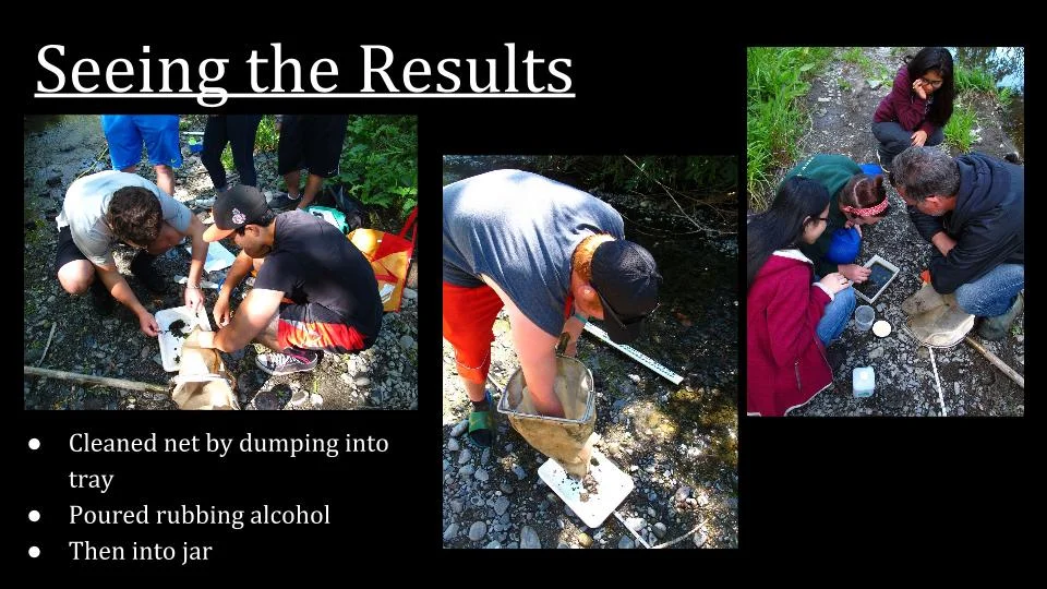 Watershed Assessment — Watershed Classroom