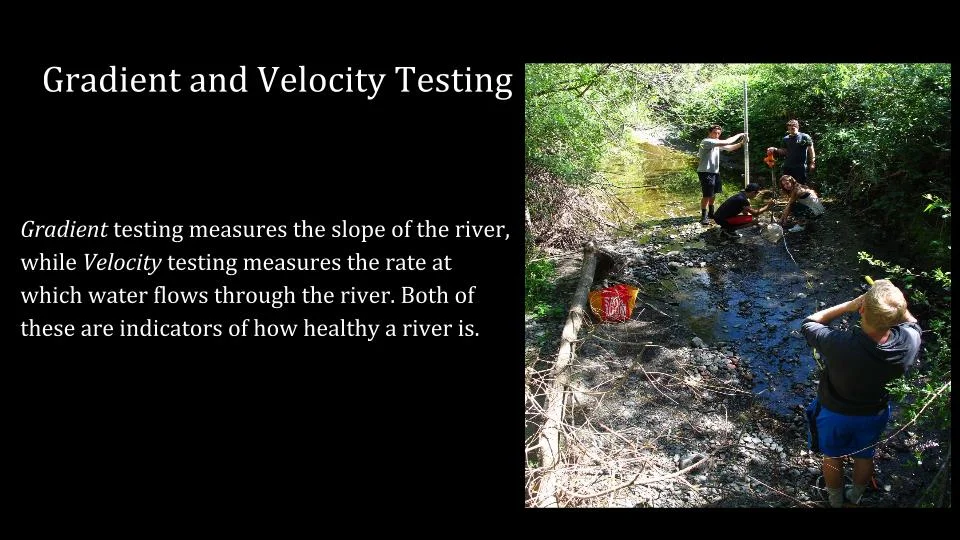 Watershed Assessment — Watershed Classroom