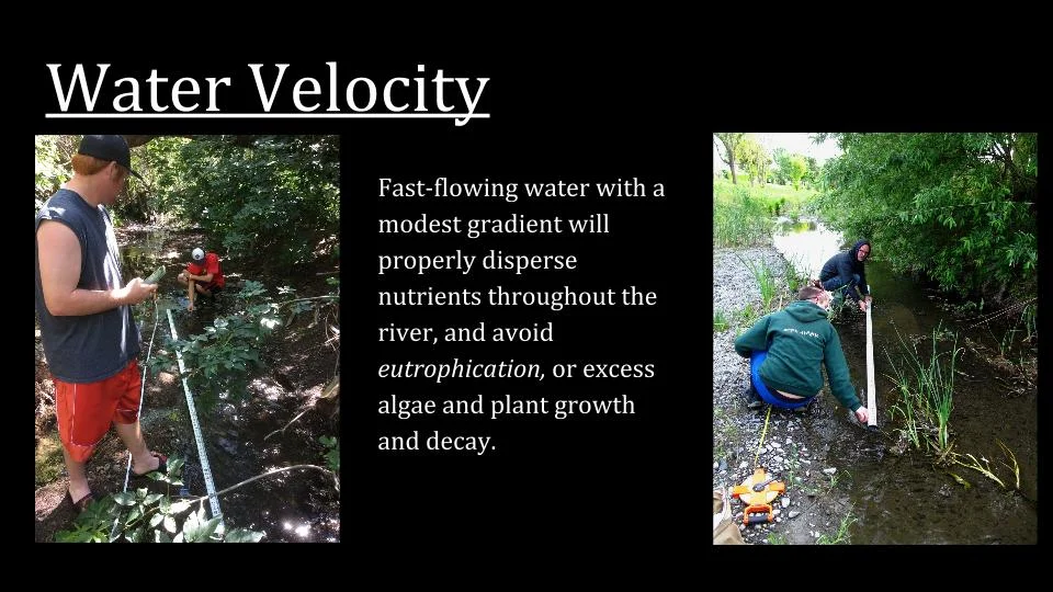 Watershed Assessment — Watershed Classroom