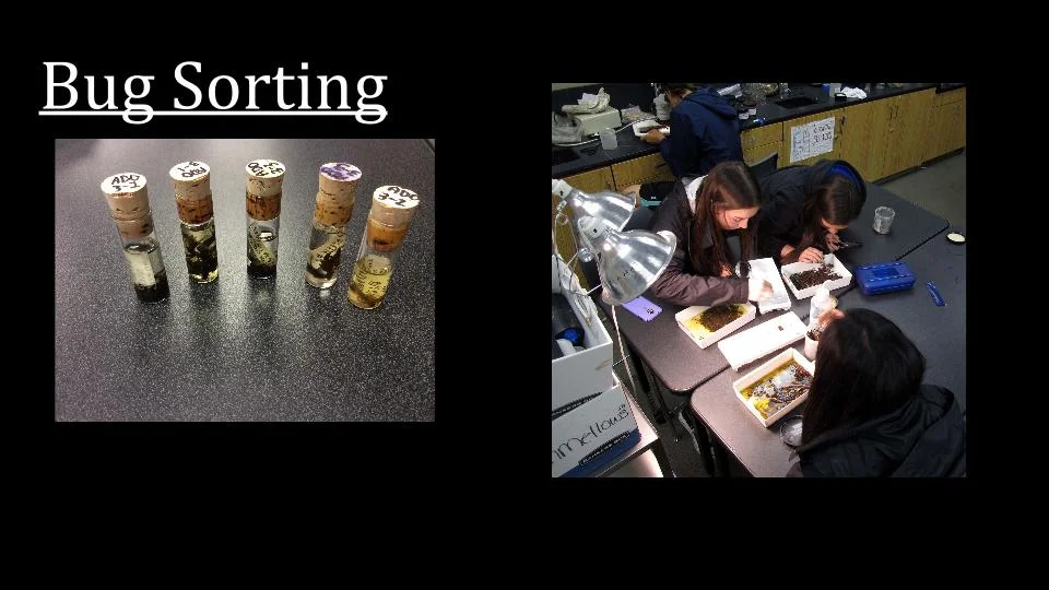 Watershed Assessment — Watershed Classroom