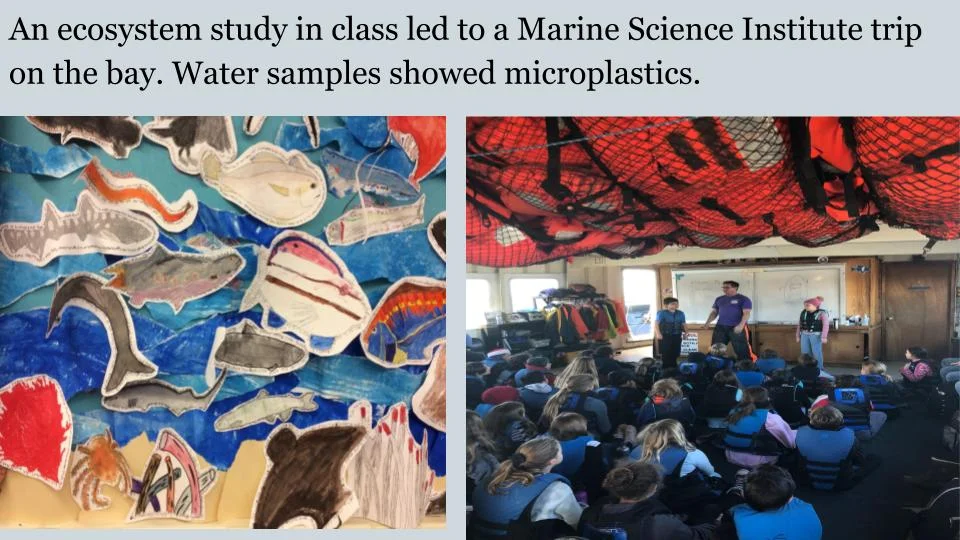 Rainwater and Plastic in our Watershed — Watershed Classroom