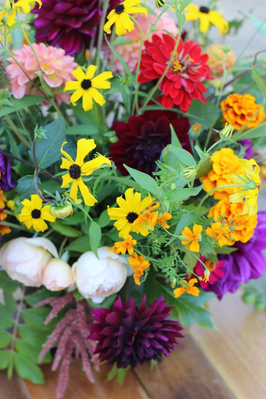 flora organica designs