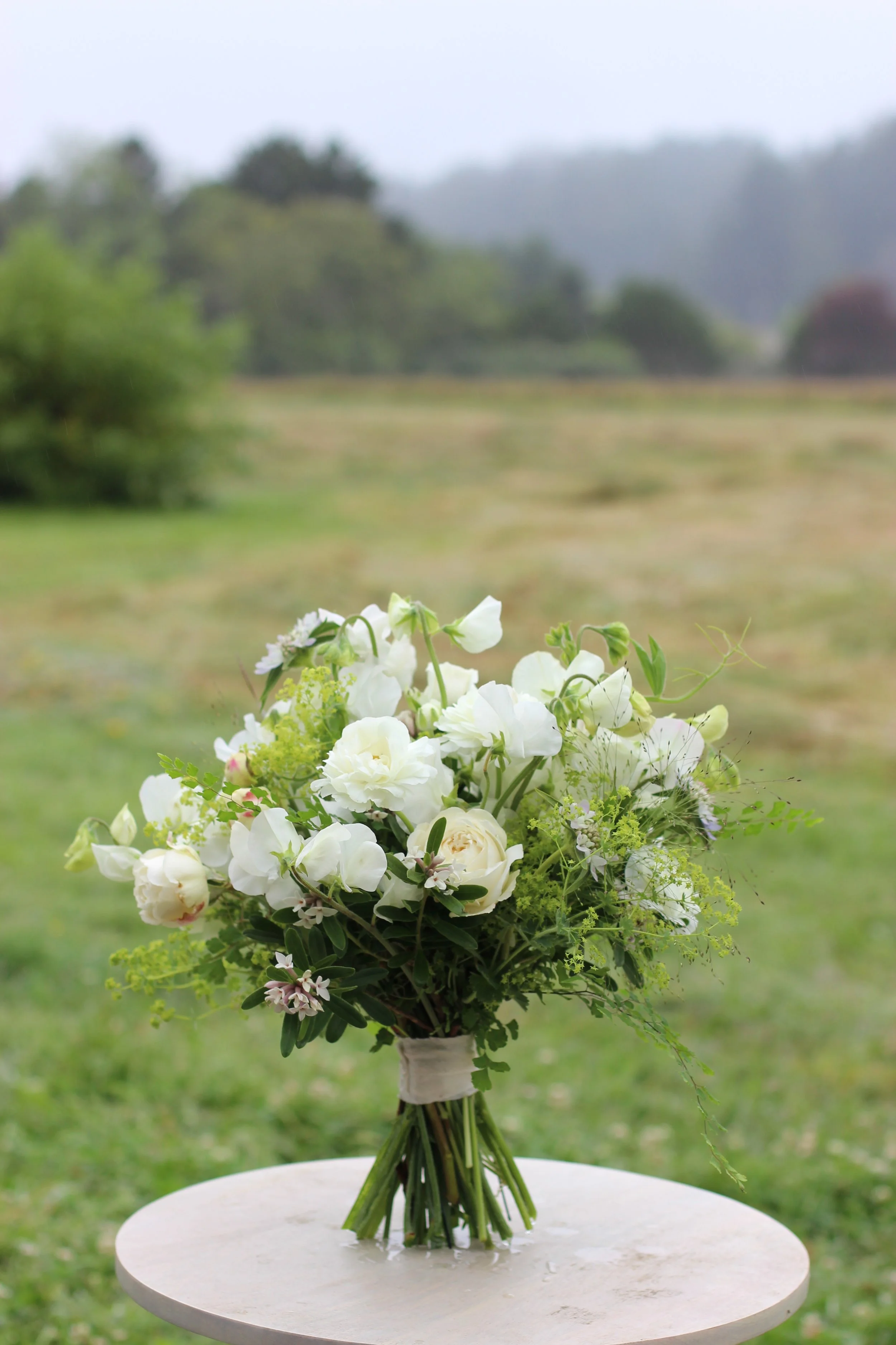 flora organica designs