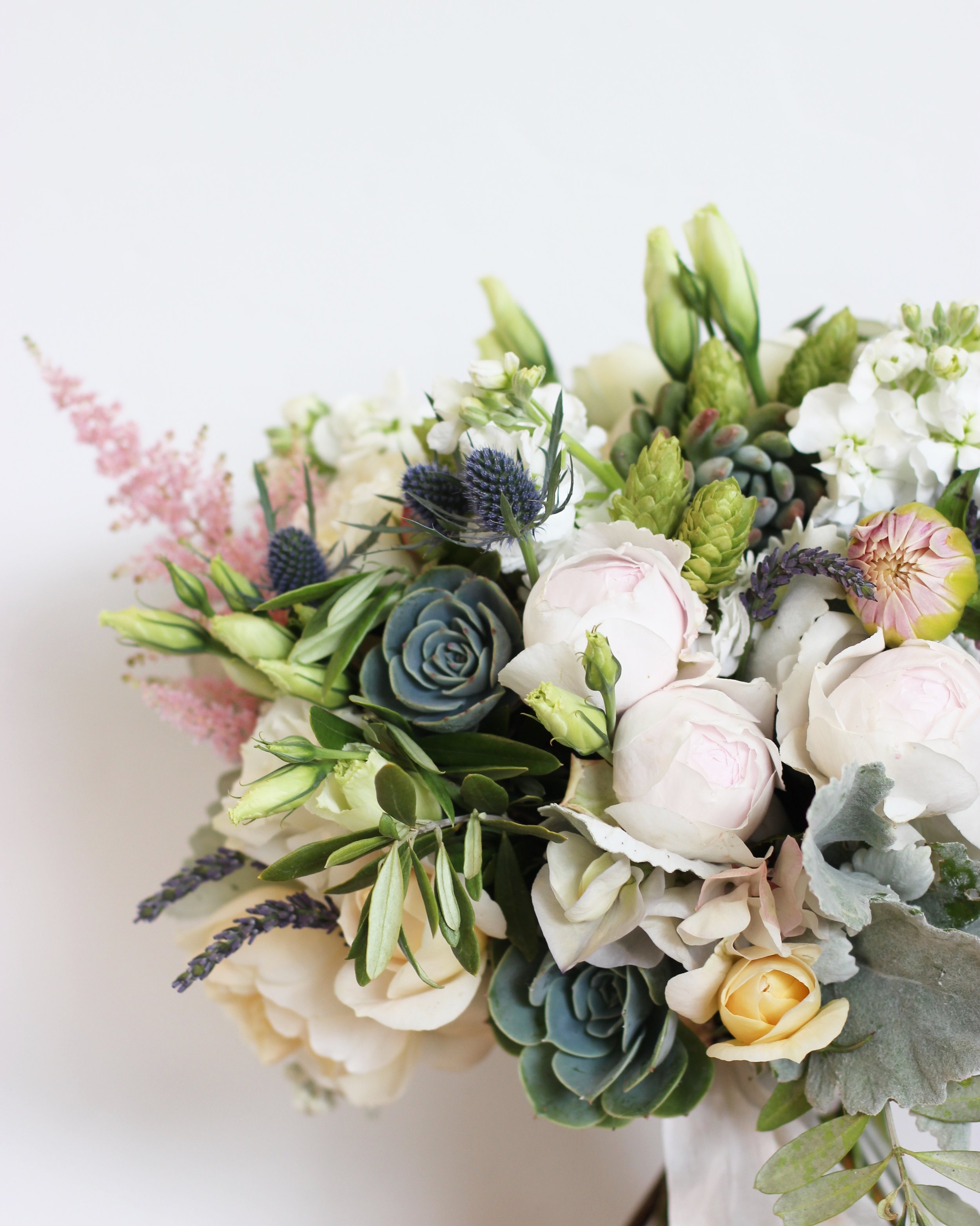 flora organica designs