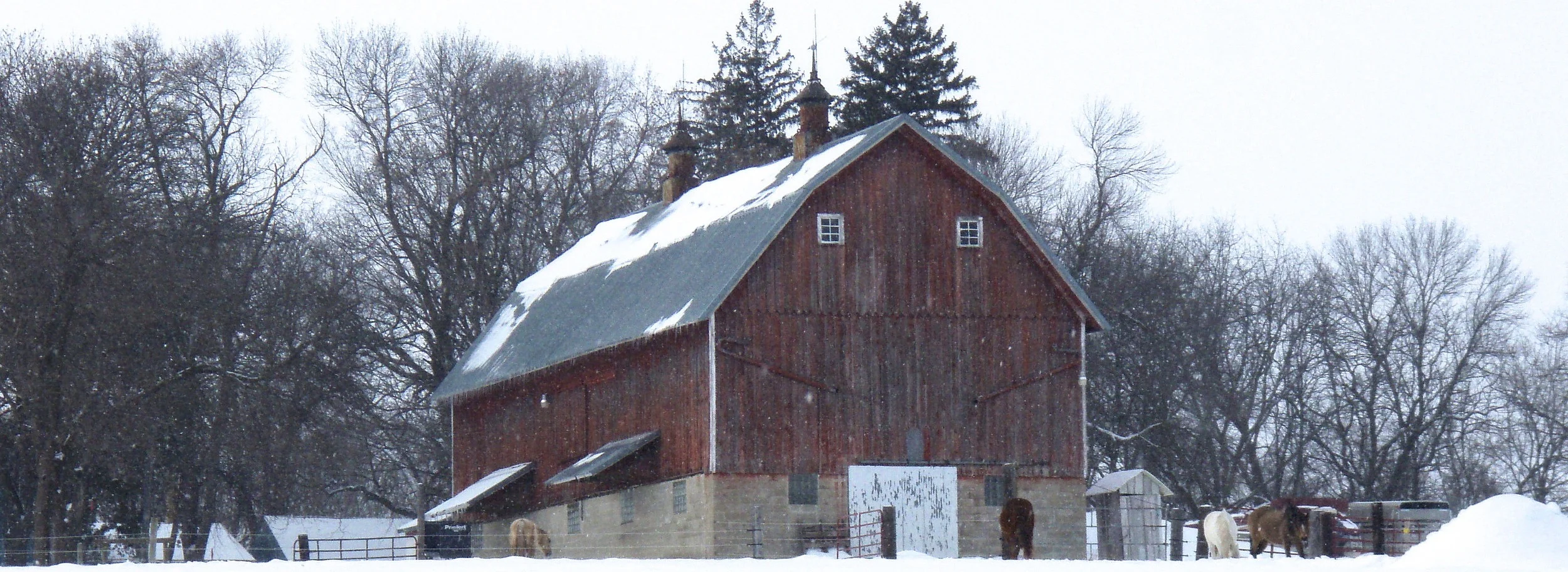 Friends of Minnesota Barns