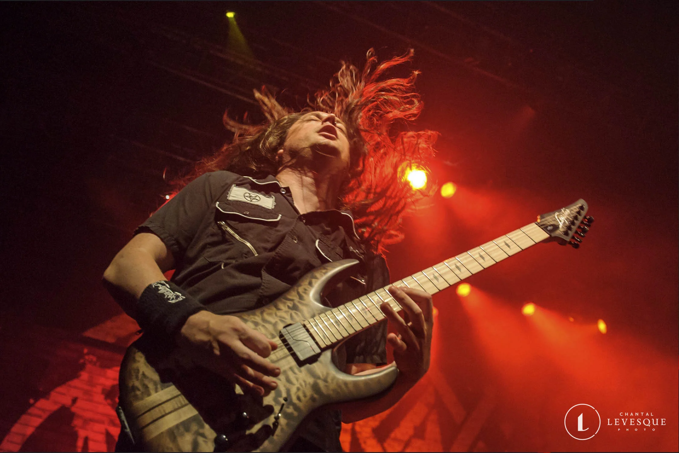 HEADBANGING DOGS — Montreal Dog Photography Chantal Levesque photo