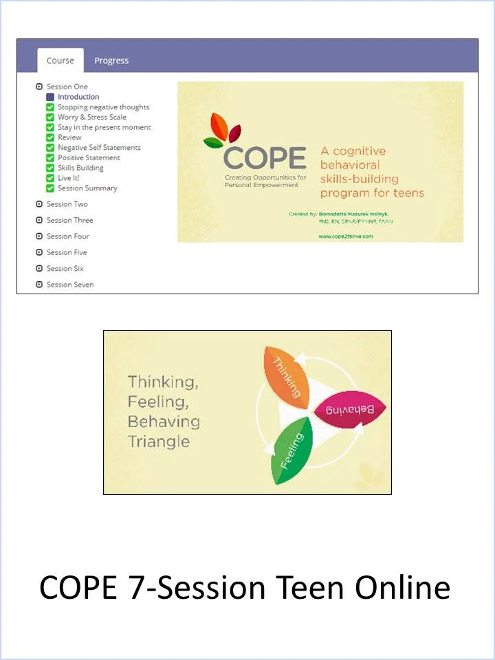 Online Program - Multiple Purchases — Coping Skills Programs for ...
