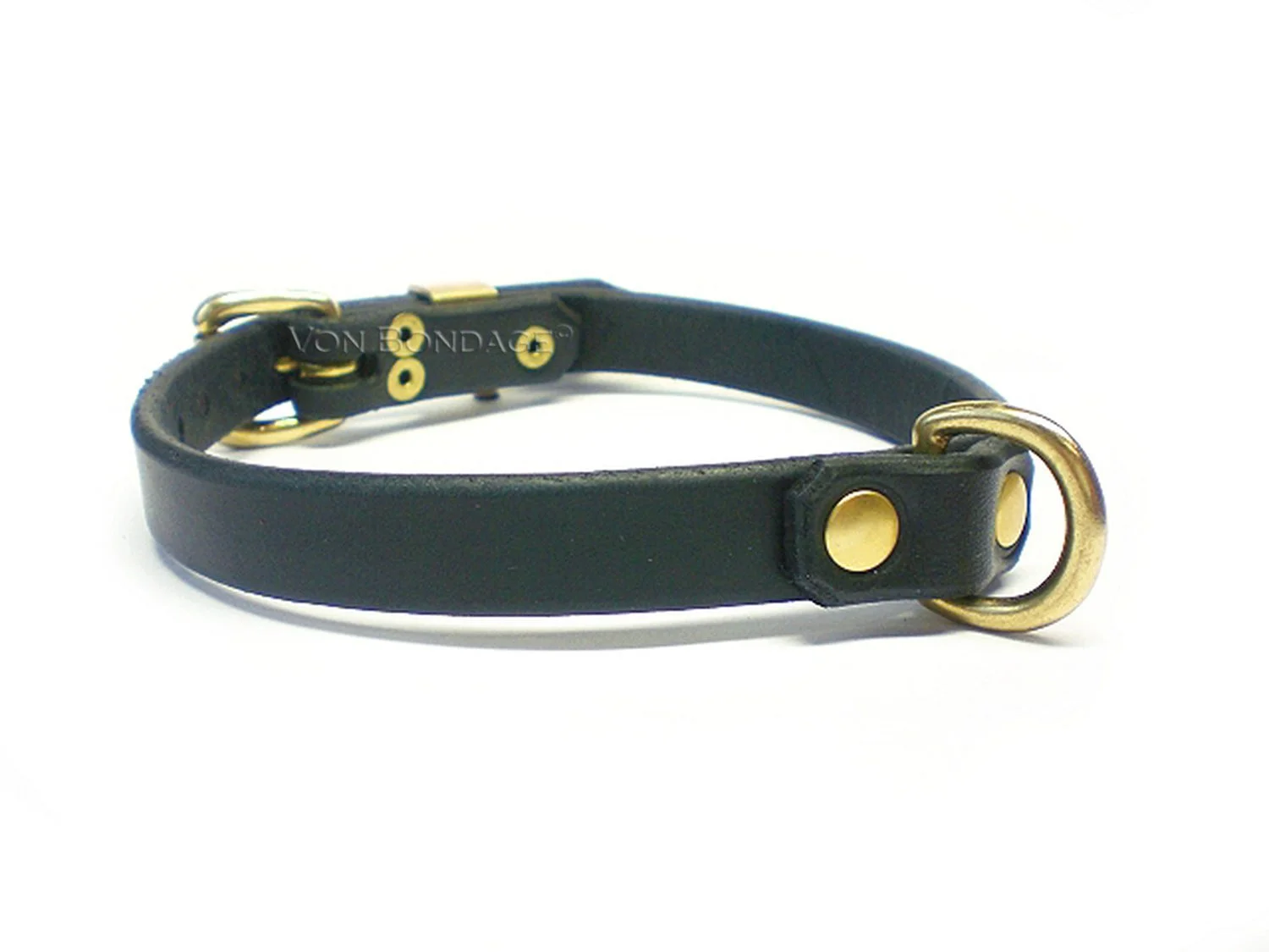 Leather & Brass slave Collar with 5/8" Dee Ring