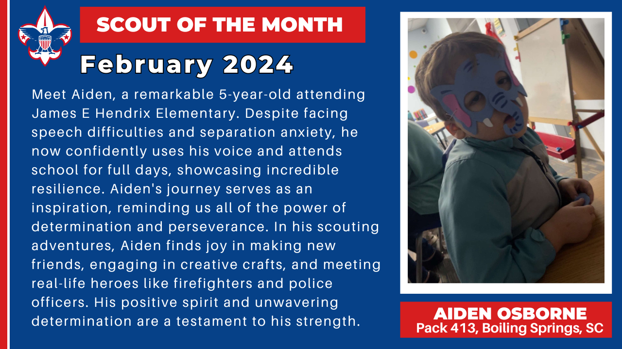 Palmetto Council, BSA