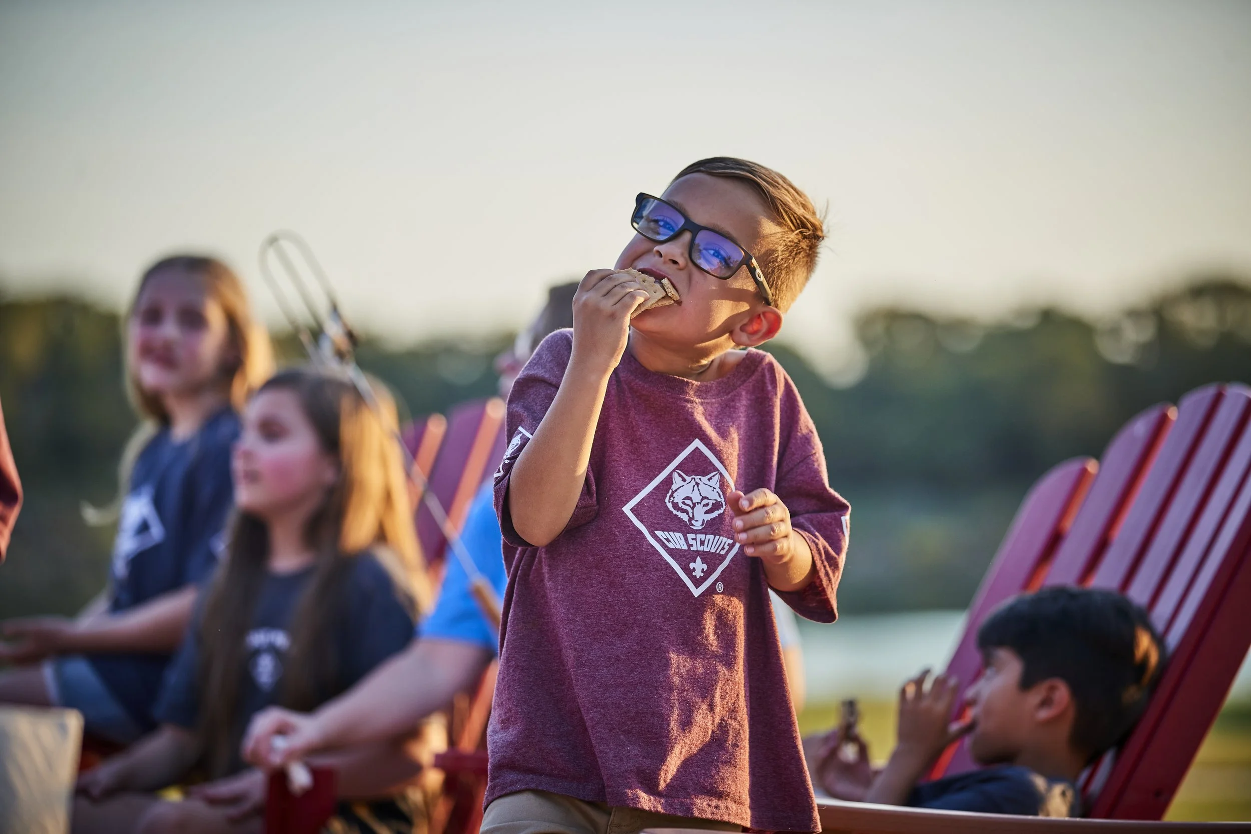 Palmetto Council, BSA