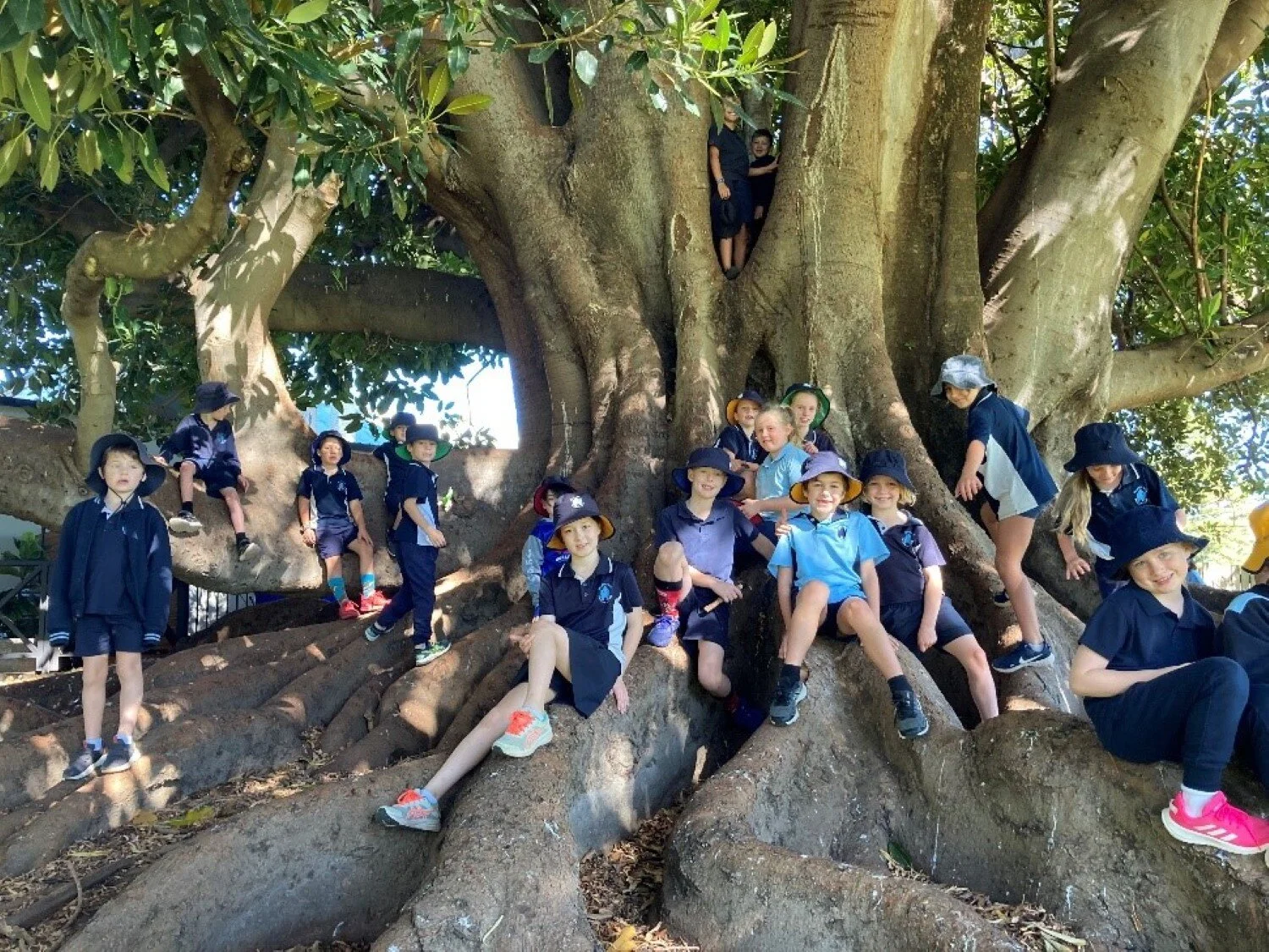 McLaren Vale Primary School