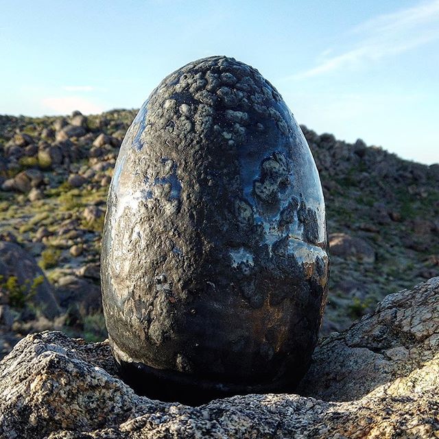 Snakes & Spikes — Ethan Eismann