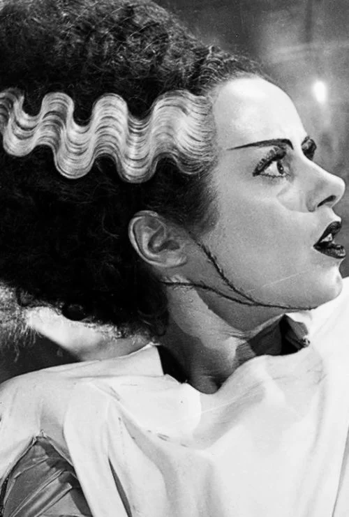 Frankenstein Makeup Kit