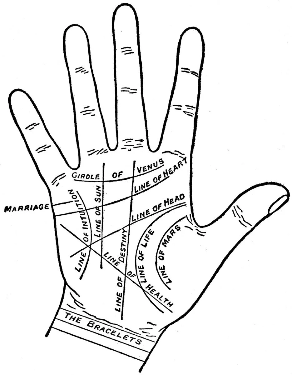 Palm Hand Reading