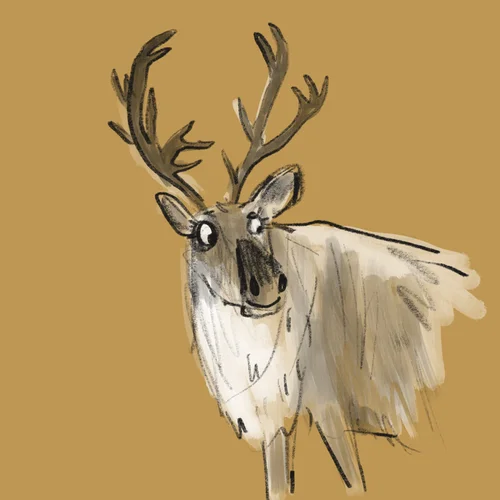 Portfolio — Clare Elsom