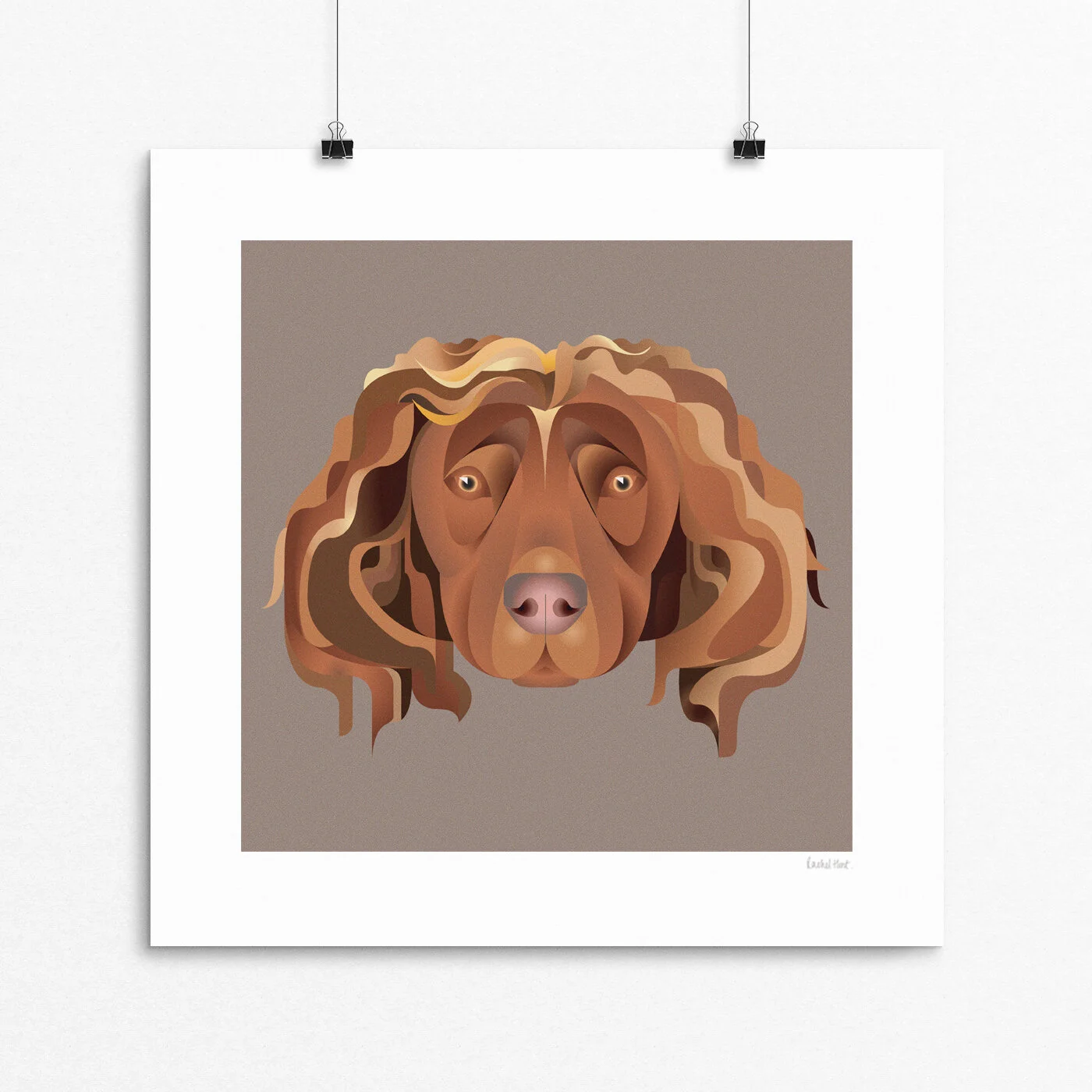 'Working Cocker' dog Limited Edition Print — Rachel Hunt Illustration ...